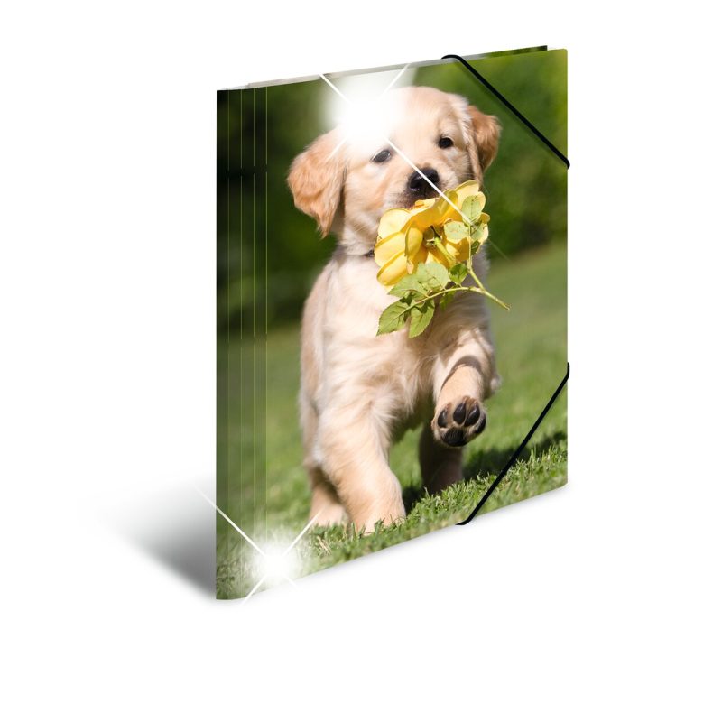 Elasticated folder glossy animals A4 Dogs | HERMA Australia