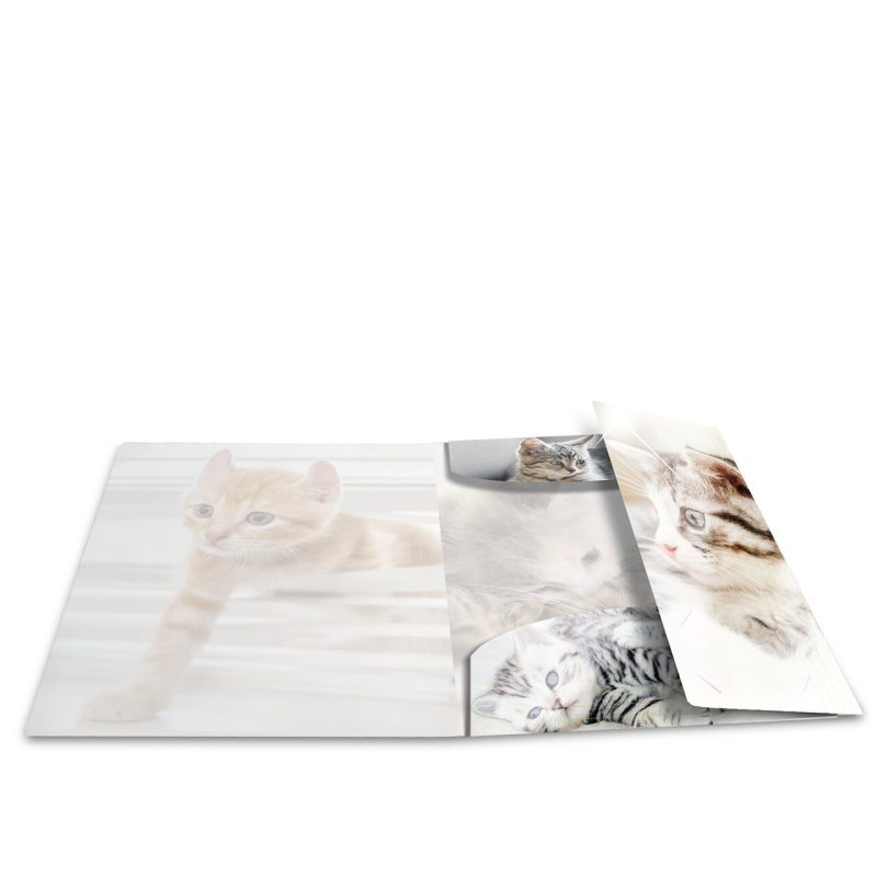 Elasticated folder glossy animals A4 Cats | HERMA Australia