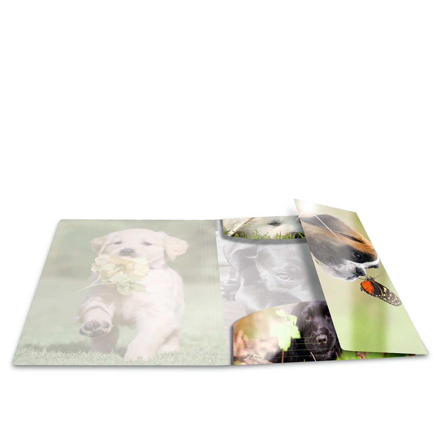 Elasticated folder glossy animals A3 PP dogs | HERMA Australia