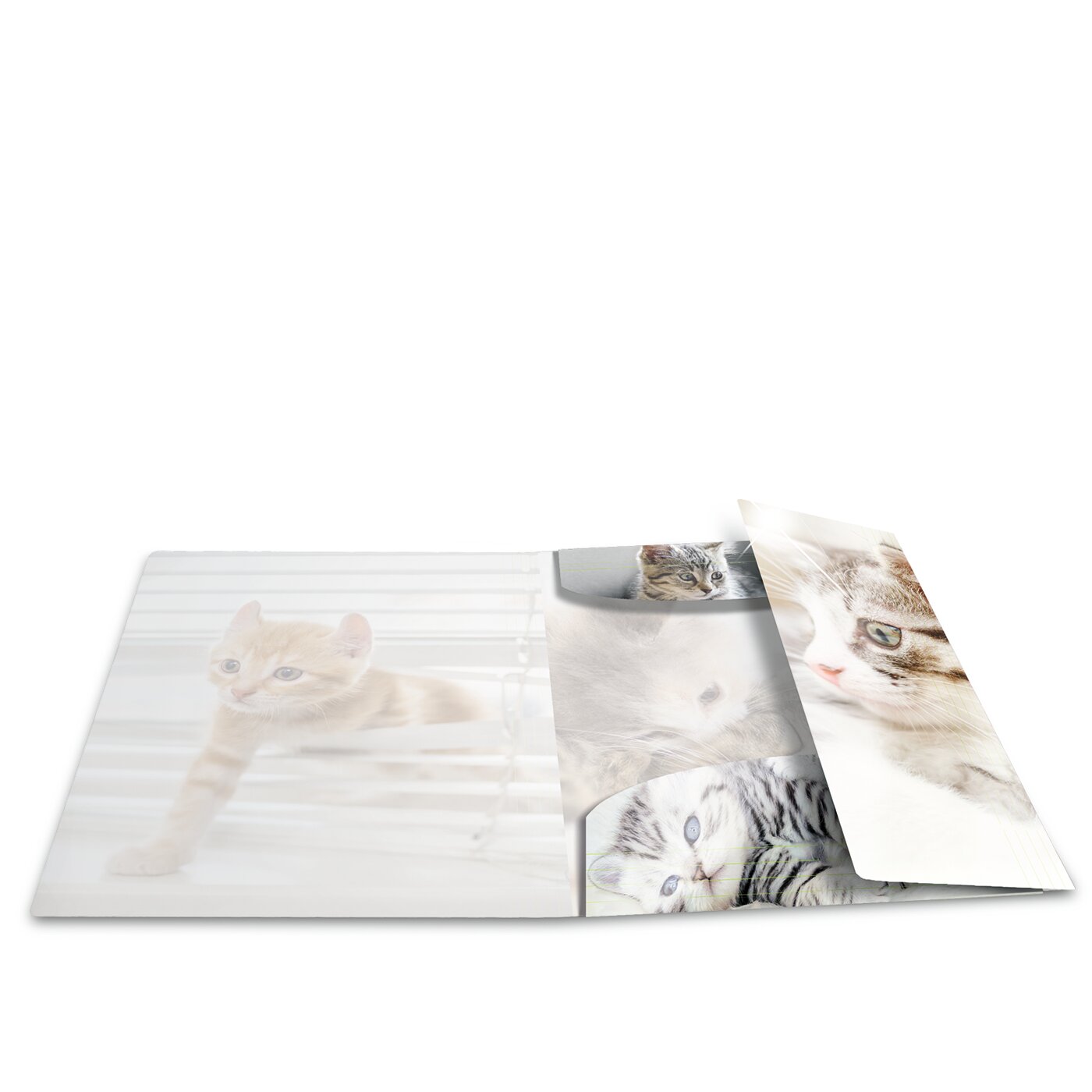 Elasticated folder glossy animals A3 PP cats | HERMA Australia