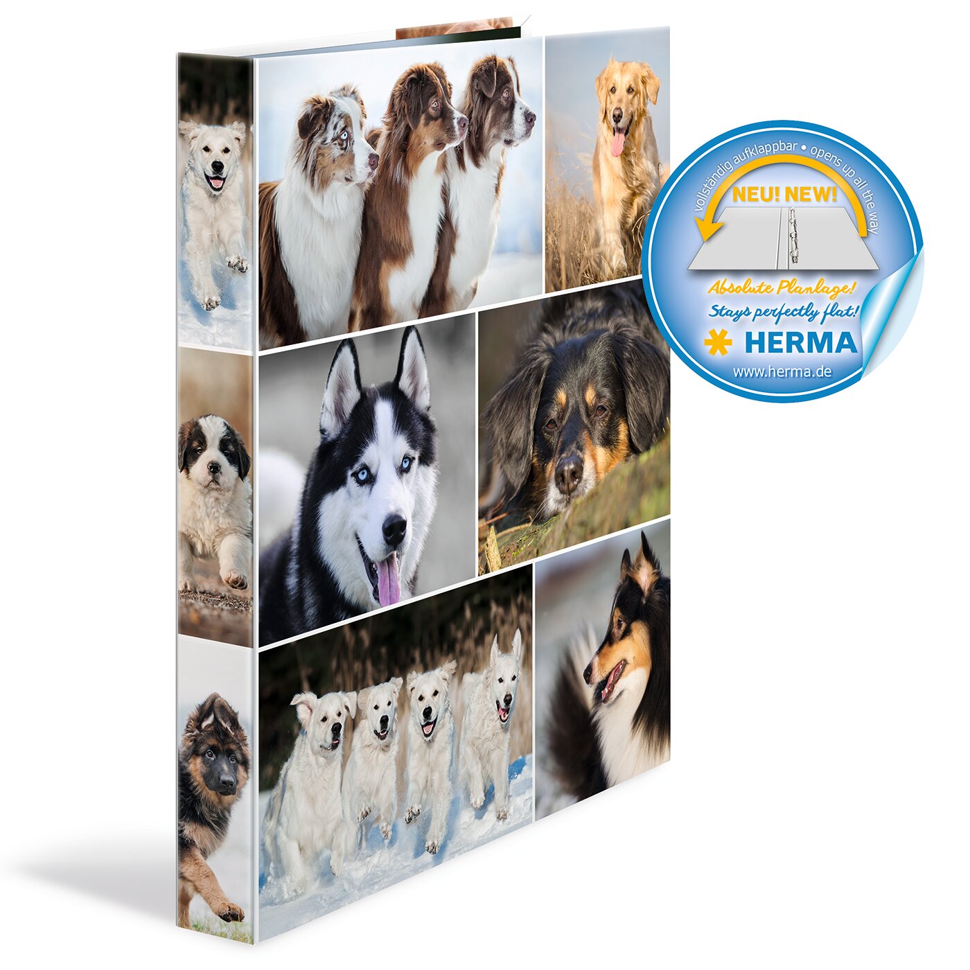 Ring binder A4 cardboard 4D dogs | HERMA Australia